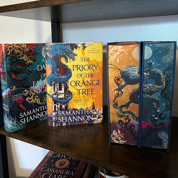 Other | Priory Of The Orange Tree A Day Of Fallen Night | Poshmark